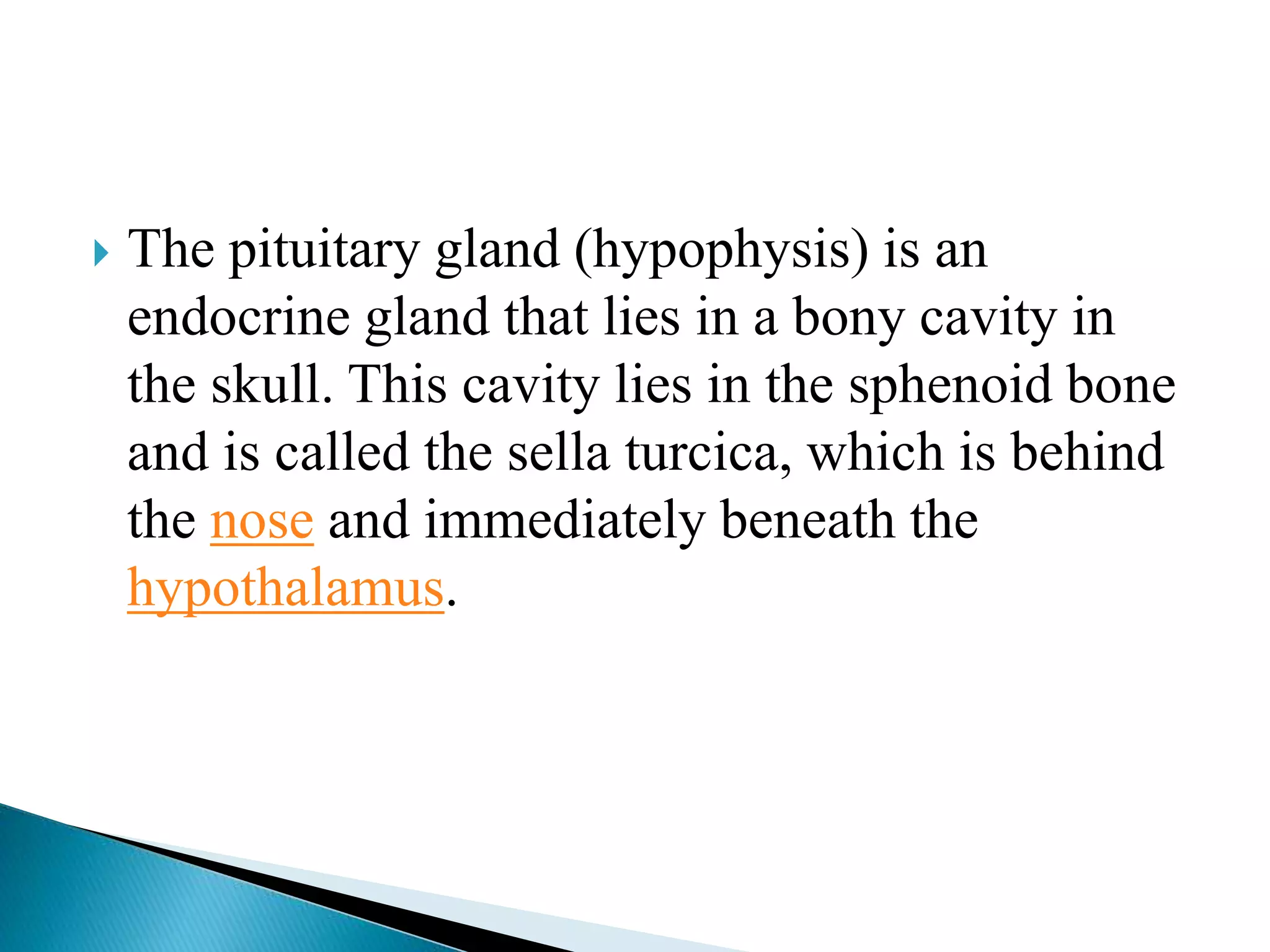 Endocrine system | PPTX