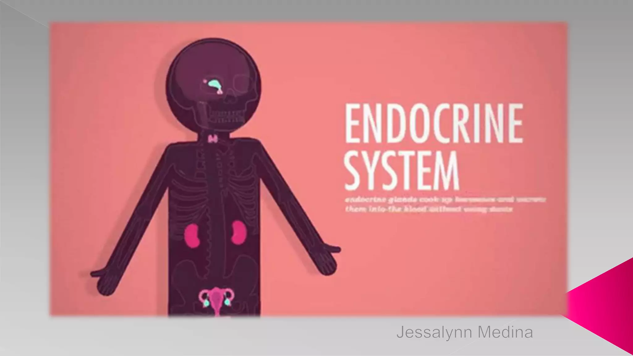 Endocrine system | PPT