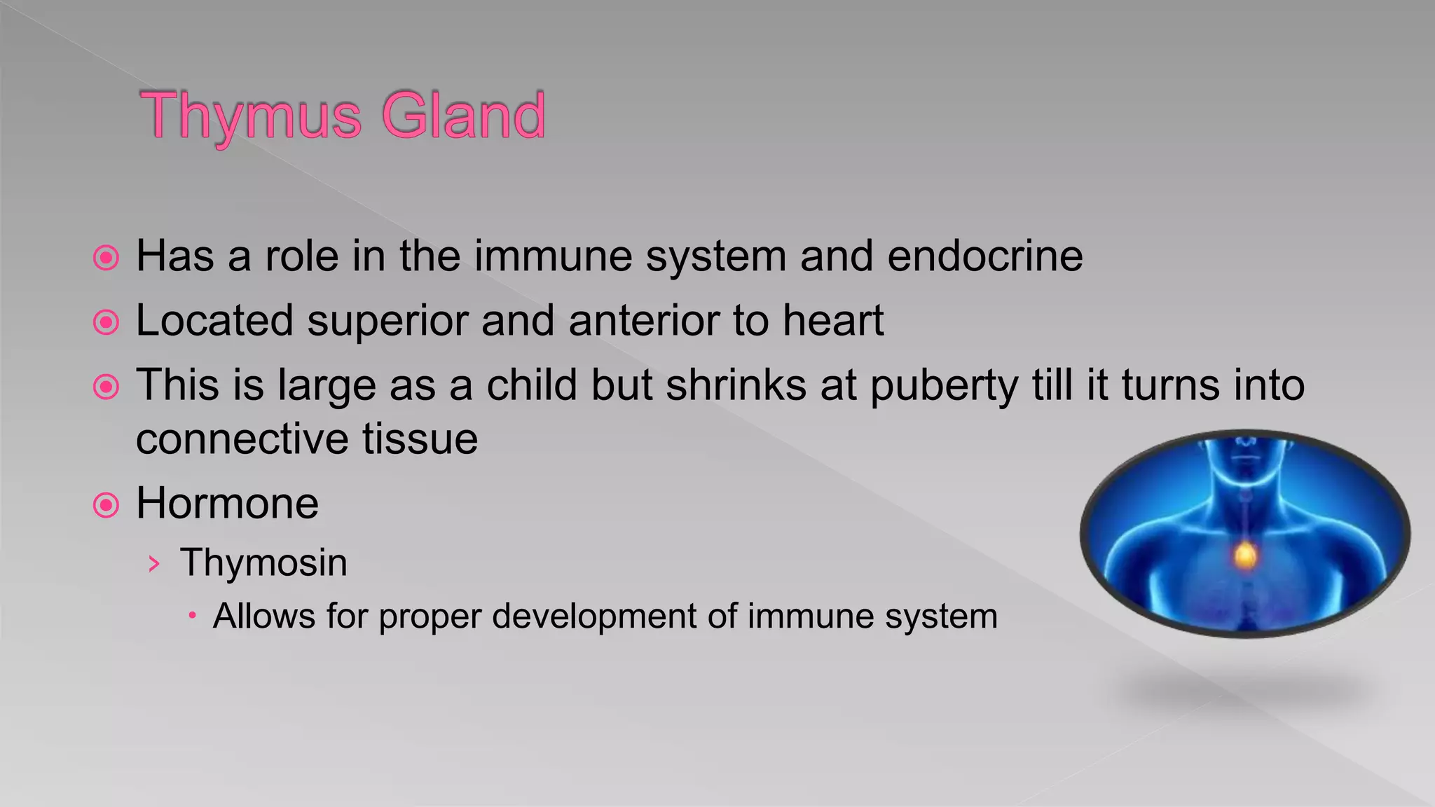 Endocrine system | PPT