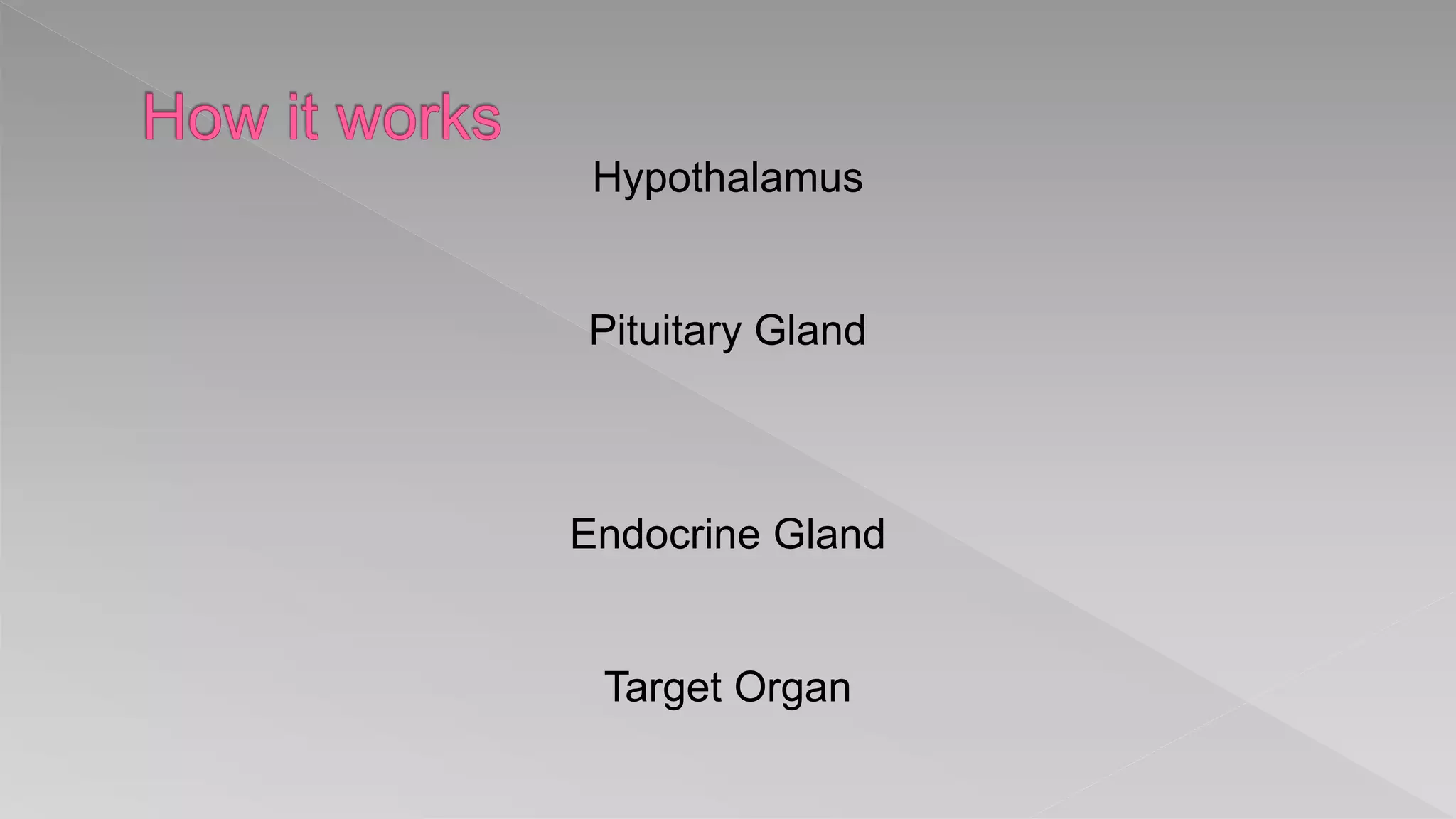 Endocrine system | PPT