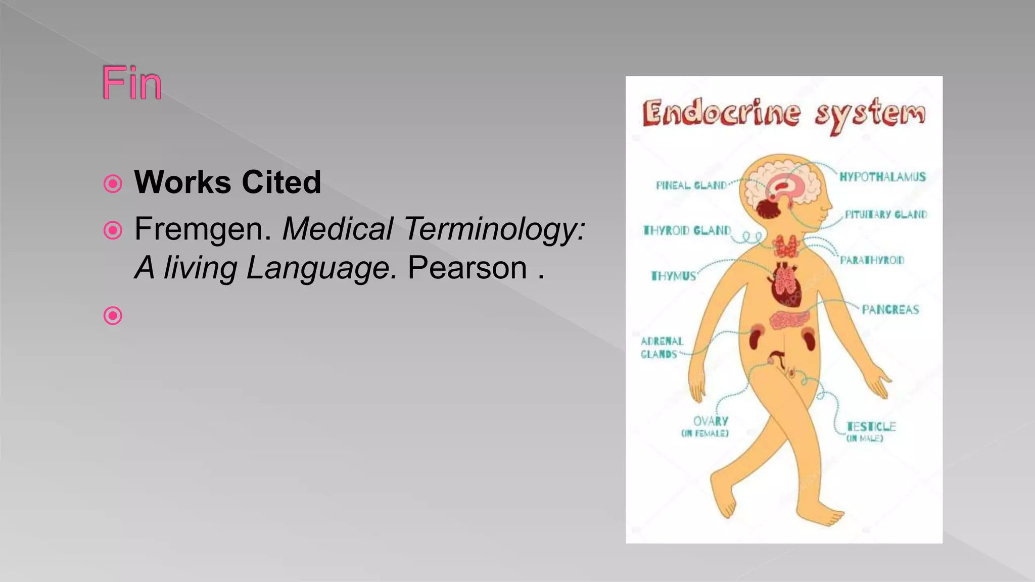 Endocrine system | PPT