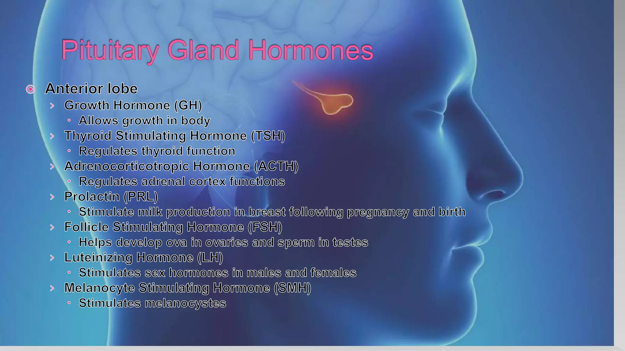 Endocrine system | PPT