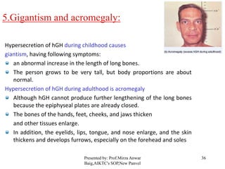 Endocrine system | PDF