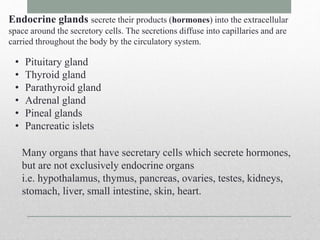 Pituitary Gland | PPTX