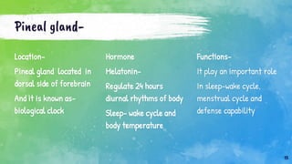 Endocrine system | PPTX