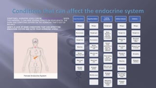 Endocrine system | PPT