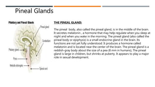Endocrine system | PPT