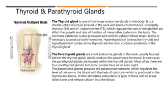 Endocrine system | PPTX
