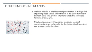 Endocrine system | PPTX