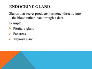 Endocrine system | PPTX