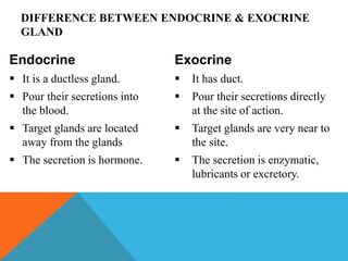 Endocrine system | PPTX