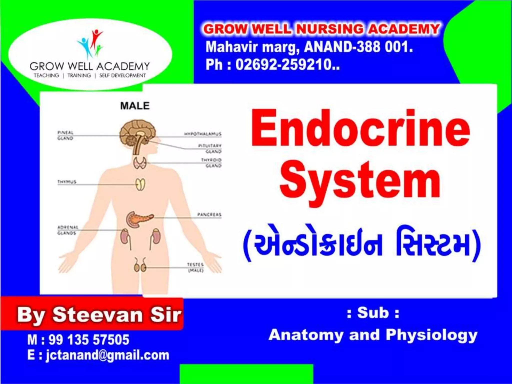 Endocrine system | PPT
