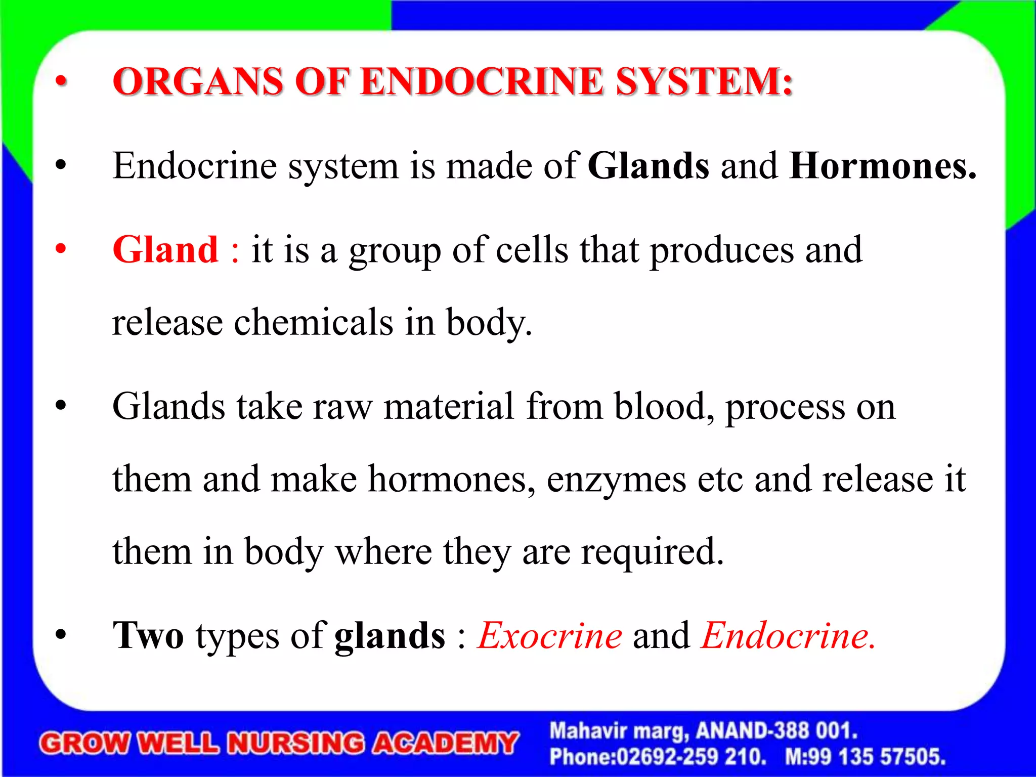 Endocrine system | PPT