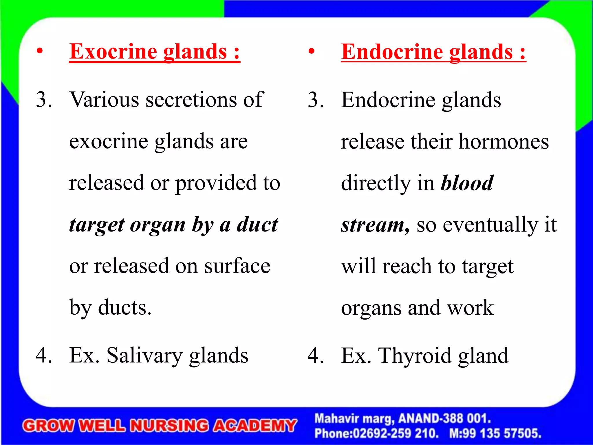 Endocrine system | PPT