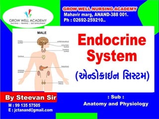Endocrine system | PPT
