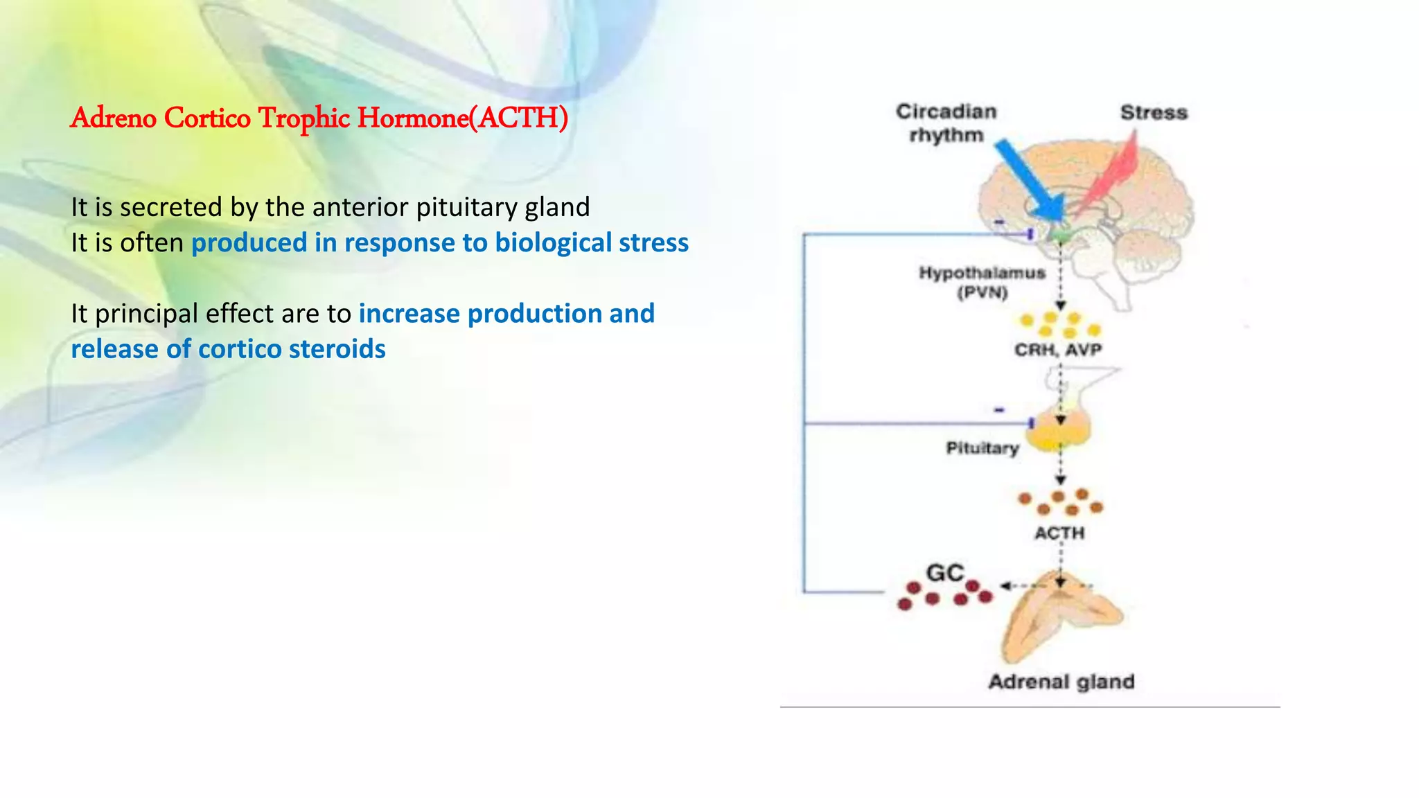 Endocrine system | PPTX