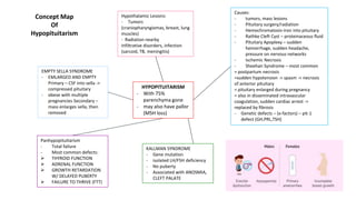 Endocrine system | PPTX