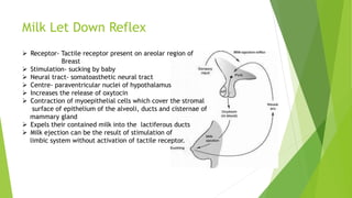 ENDOCRINE SYSTEM.pptx