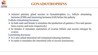 ENDOCRINE SYSTEM | PPT