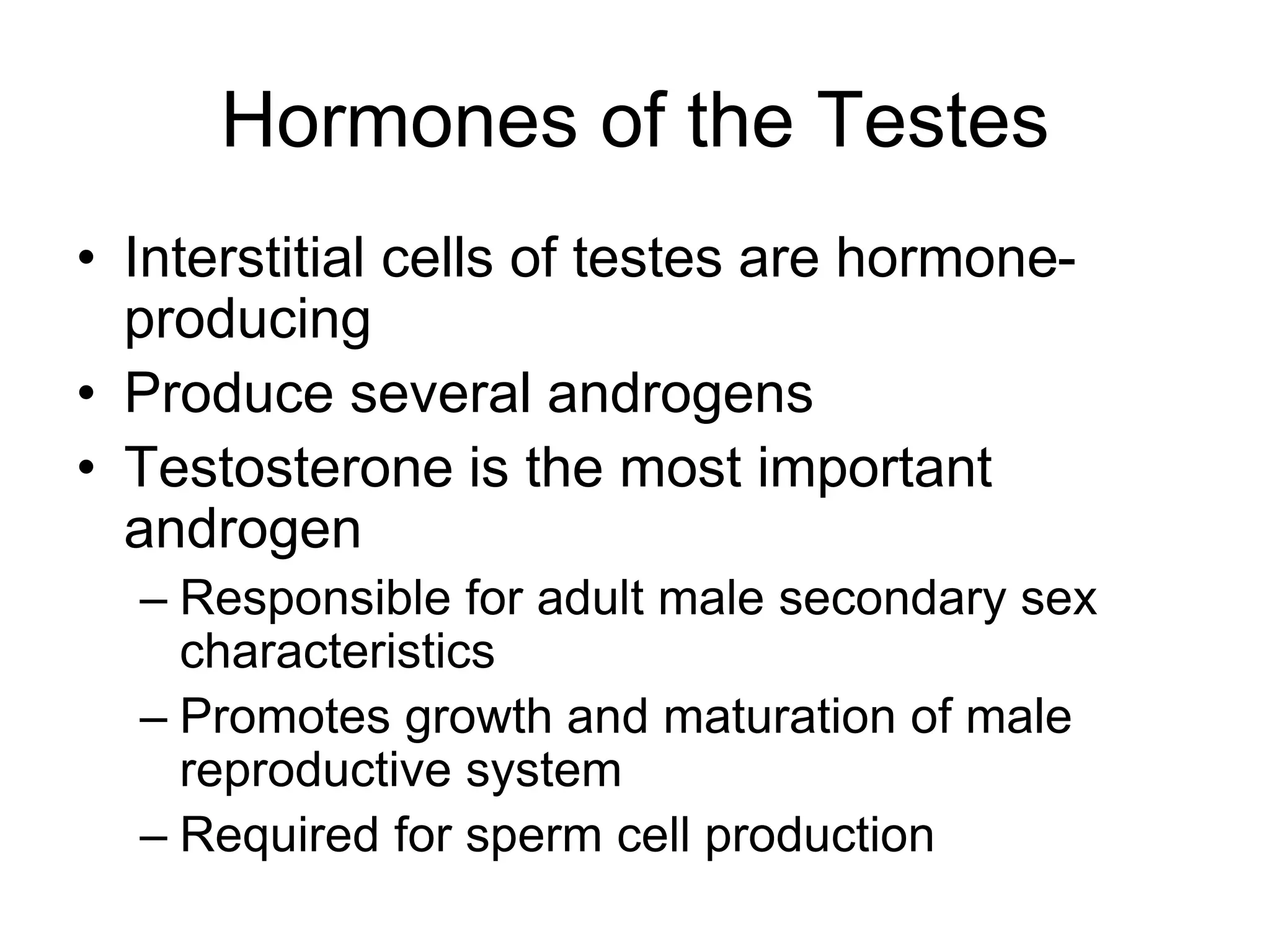 Endocrine System.ppt