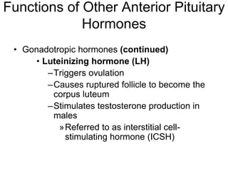 Endocrine System.ppt