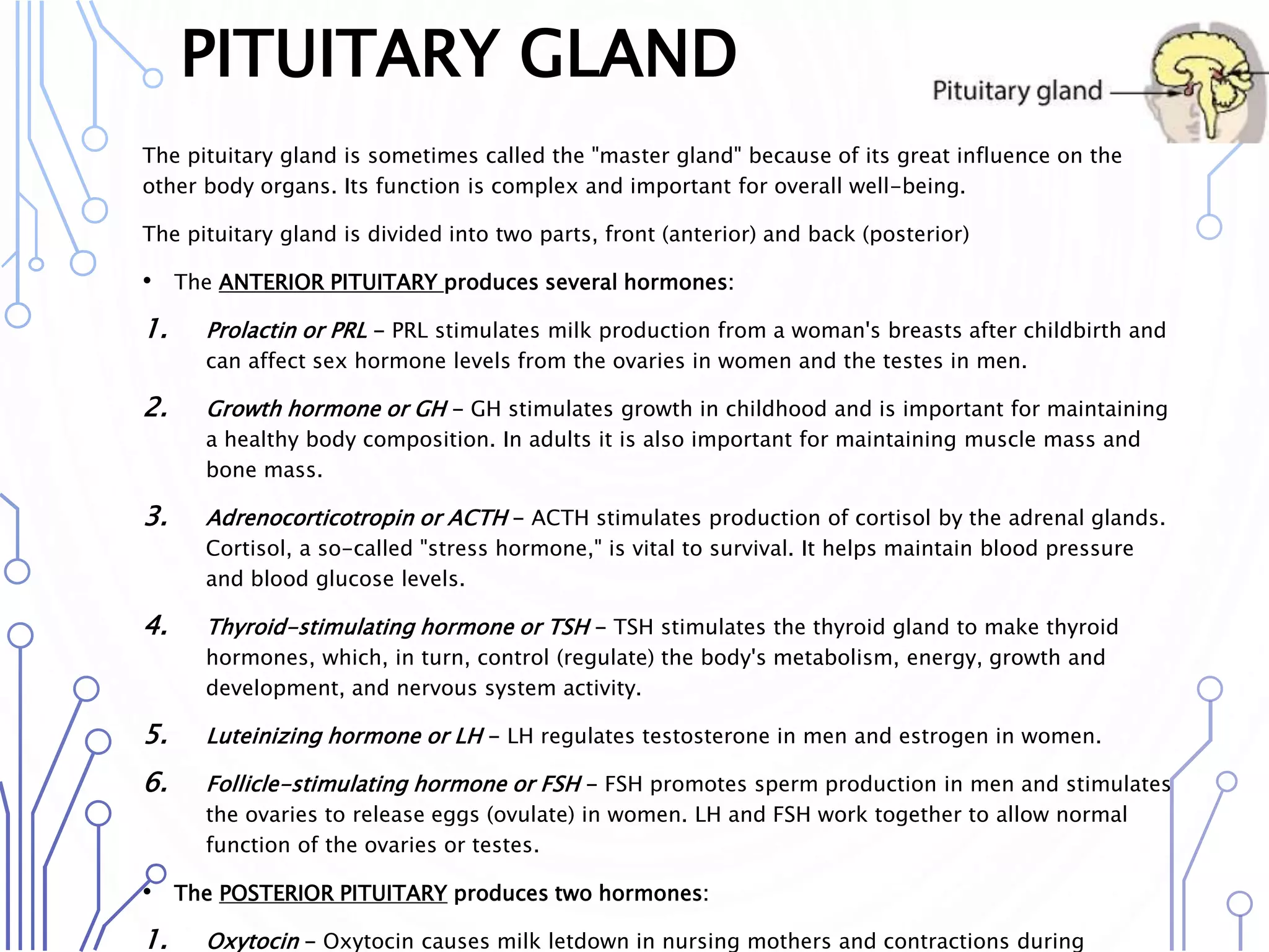 ENDOCRINE SYSTEM.pptx