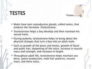 ENDOCRINE SYSTEM.pptx