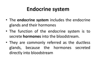 Endocrine system.pptx