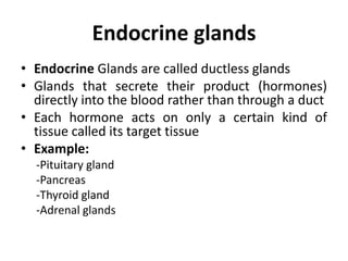 Endocrine system.pptx