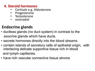 Endocrine System.ppt