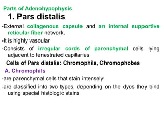Endocrine System.ppt