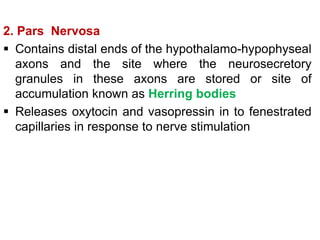 Endocrine System.ppt