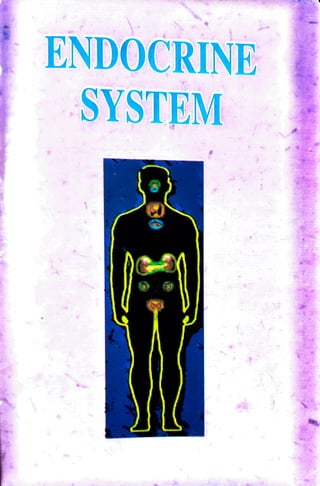 Endocrine System.pdf | Thyroid Disorders | Endocrine and Metabolic Diseases