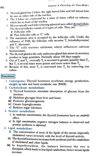 Endocrine System.pdf | Thyroid Disorders | Endocrine and Metabolic Diseases