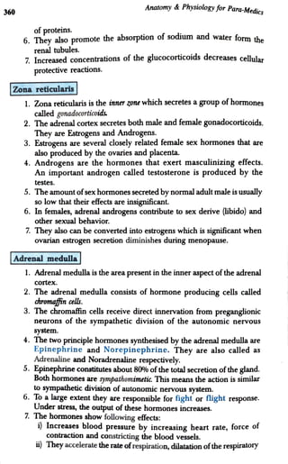 Endocrine System.pdf | Thyroid Disorders | Endocrine and Metabolic Diseases