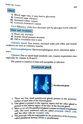 Endocrine System.pdf