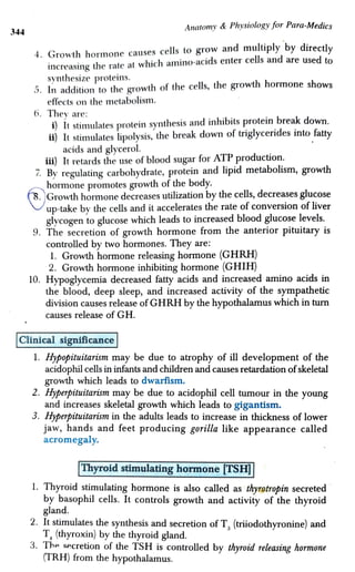 Endocrine System.pdf