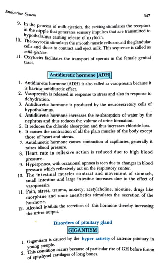 Endocrine System.pdf