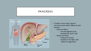 Endocrine System .pdf