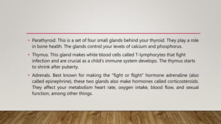 ENDOCRINE SYSTEM.pptx