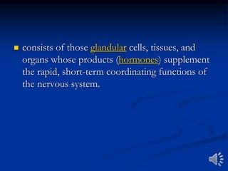 ENDOCRINE+SYSTEM.ppt