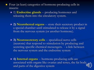 ENDOCRINE+SYSTEM.ppt