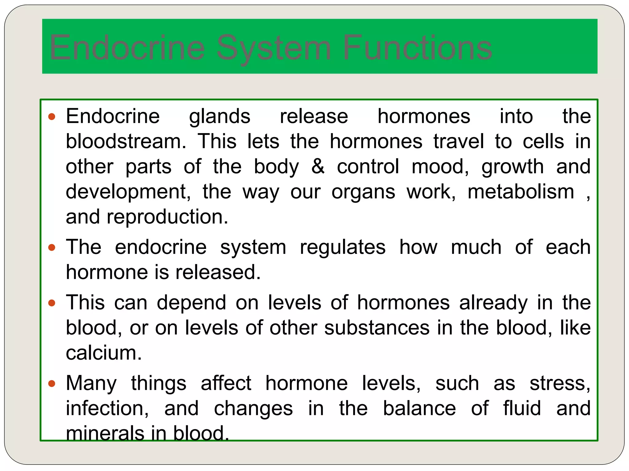 Endocrine System @.pptx