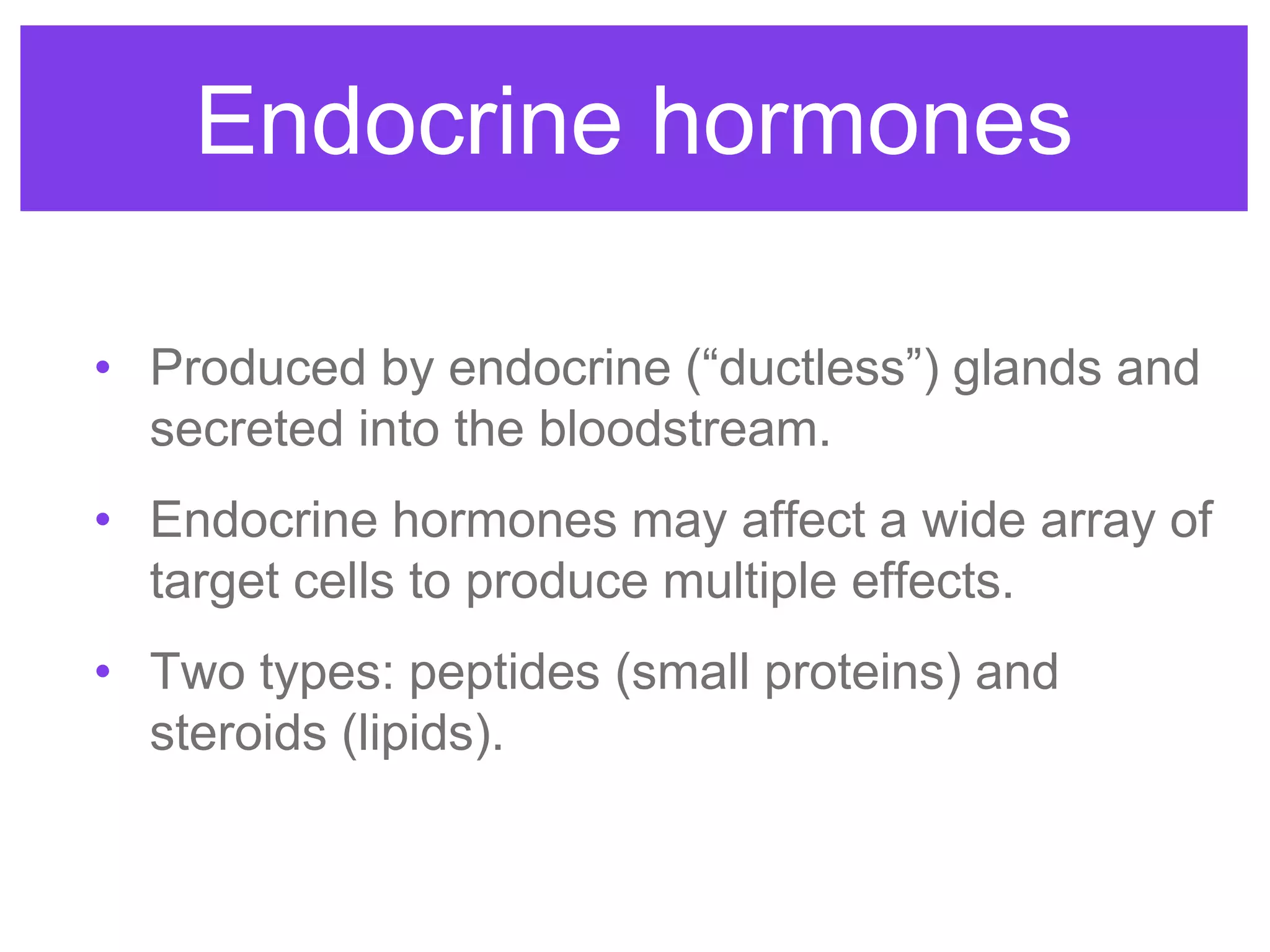 endocrine_system.ppt