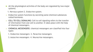ENDOCRINE SYSTEM.pptx