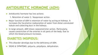 ENDOCRINE SYSTEM.pptx