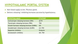 ENDOCRINE SYSTEM.pptx
