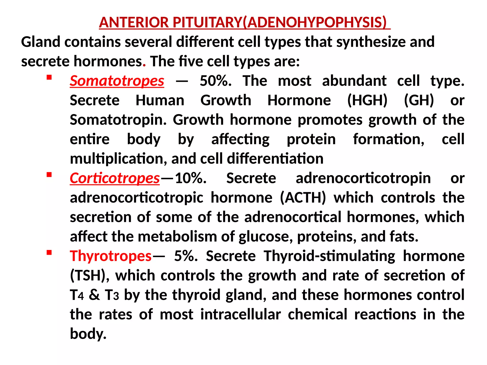 endocrine system.pdf