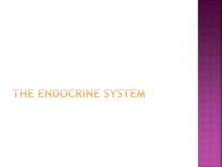 endocrine system.pptx