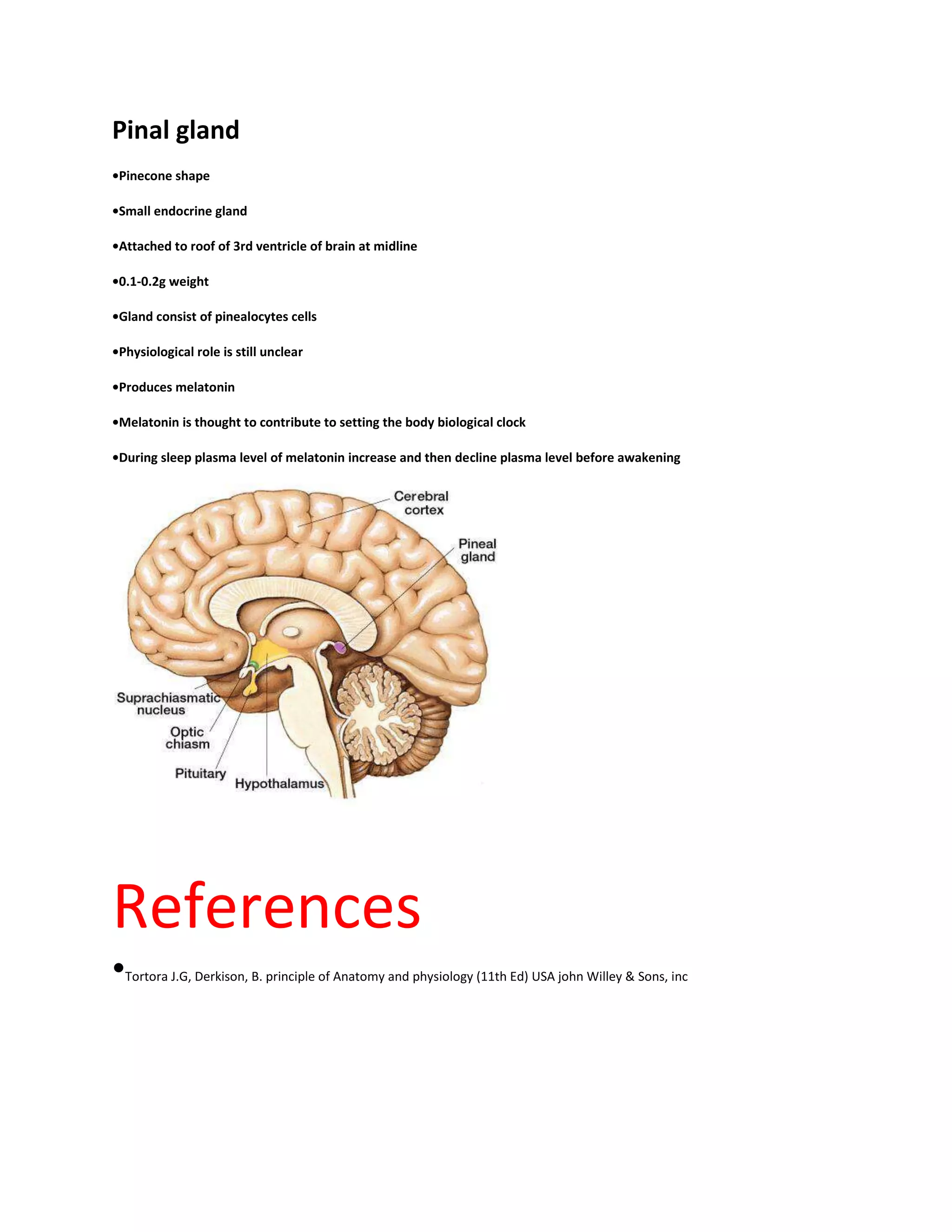 Endocrine System.docx